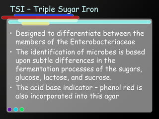Biochemistry | PPT | Chemistry | Science