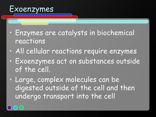 Biochemistry | PPT | Chemistry | Science