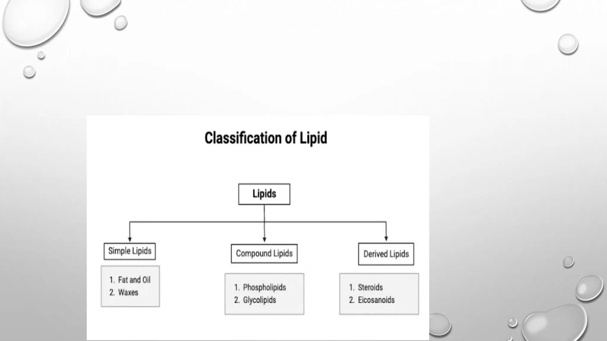 biochemistry ppt.pdf classification of lipids | PDF