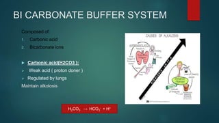 Biochemistry ppt 1 | PPTX