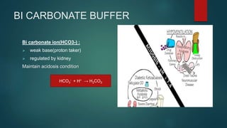 Biochemistry ppt 1 | PPTX