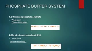 Biochemistry ppt 1 | PPTX