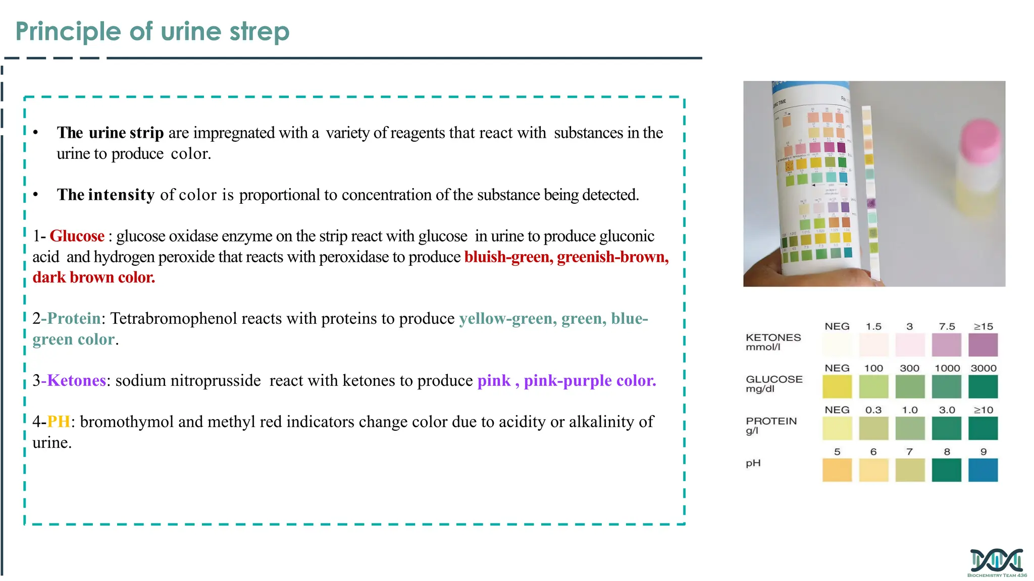 Biochemistry practical Blood glucose .pdf