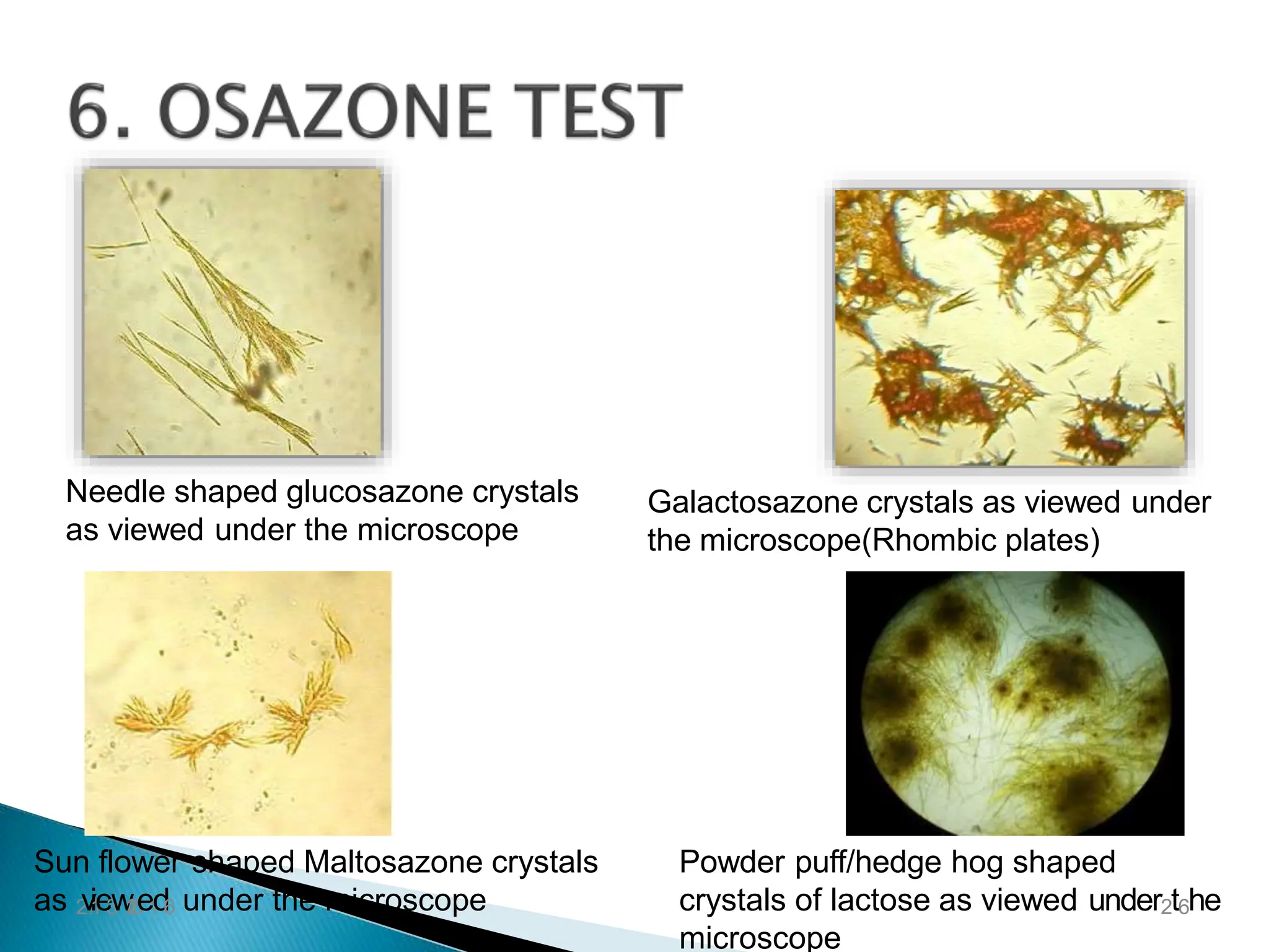 Biochemistry Practicals.pptx