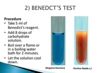 Biochemistry Practicals.pptx