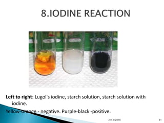 Biochemistry Practicals.pptx