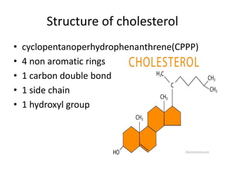 Steroids and Cholesterol | PPTX