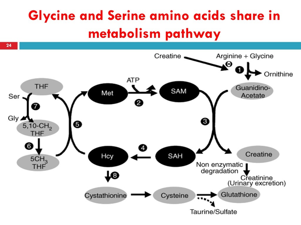 Glycine and Serine Amino acid