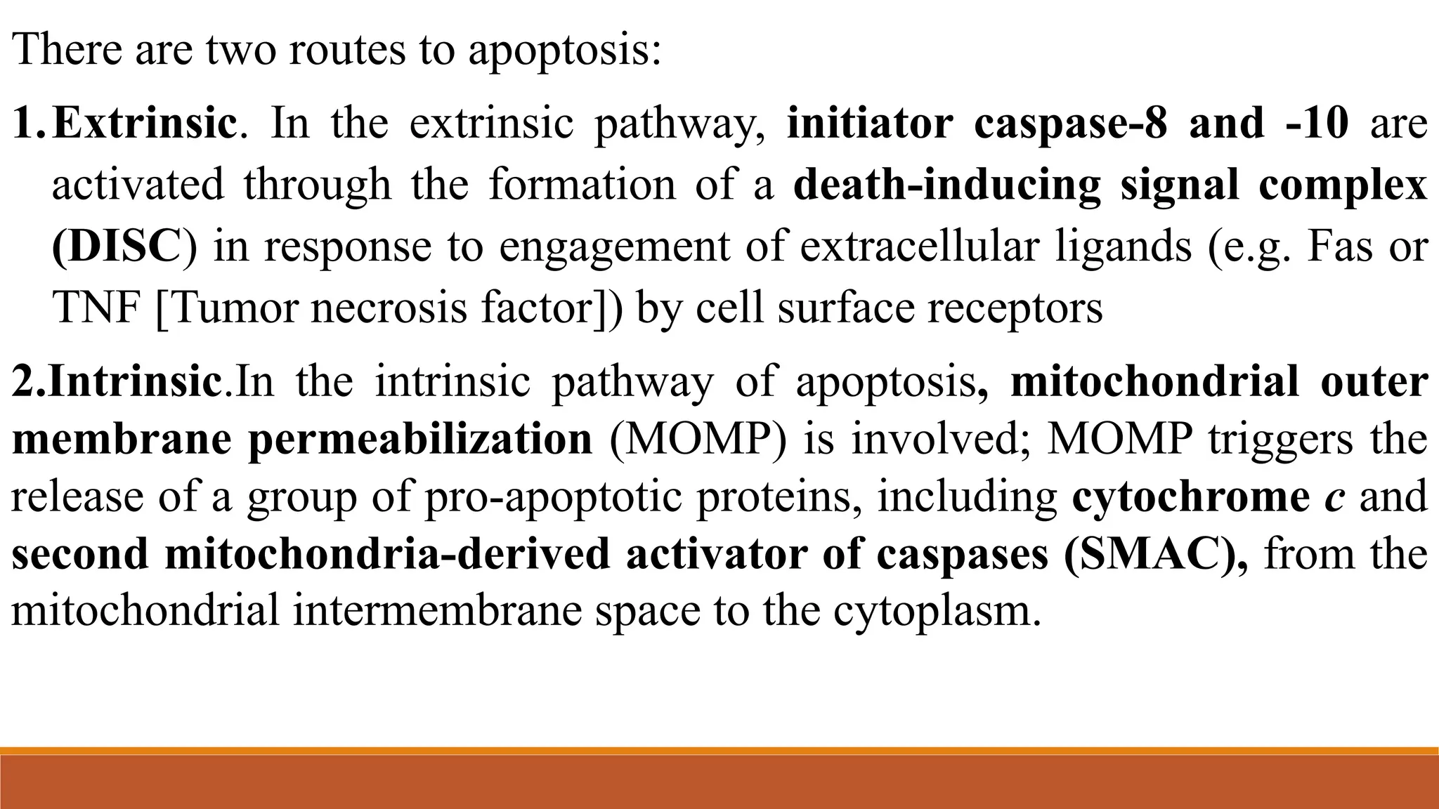 BIOCHEMISTRY PRESENTATION.on resisting cell dehat | PPTX
