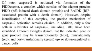 BIOCHEMISTRY PRESENTATION.on resisting cell dehat | PPT