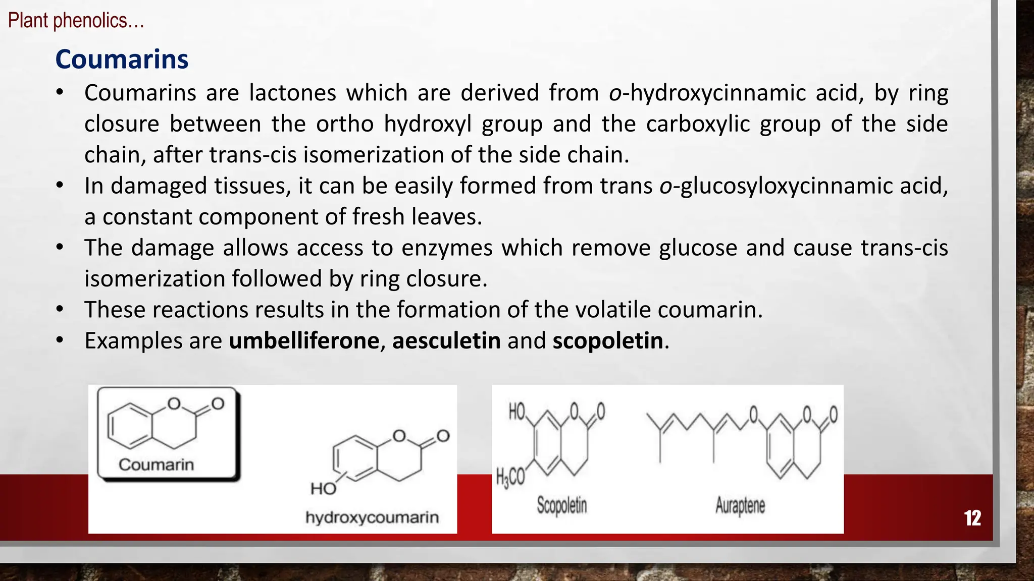 Phenolics: types, biosynthesis and functions. | PPTX