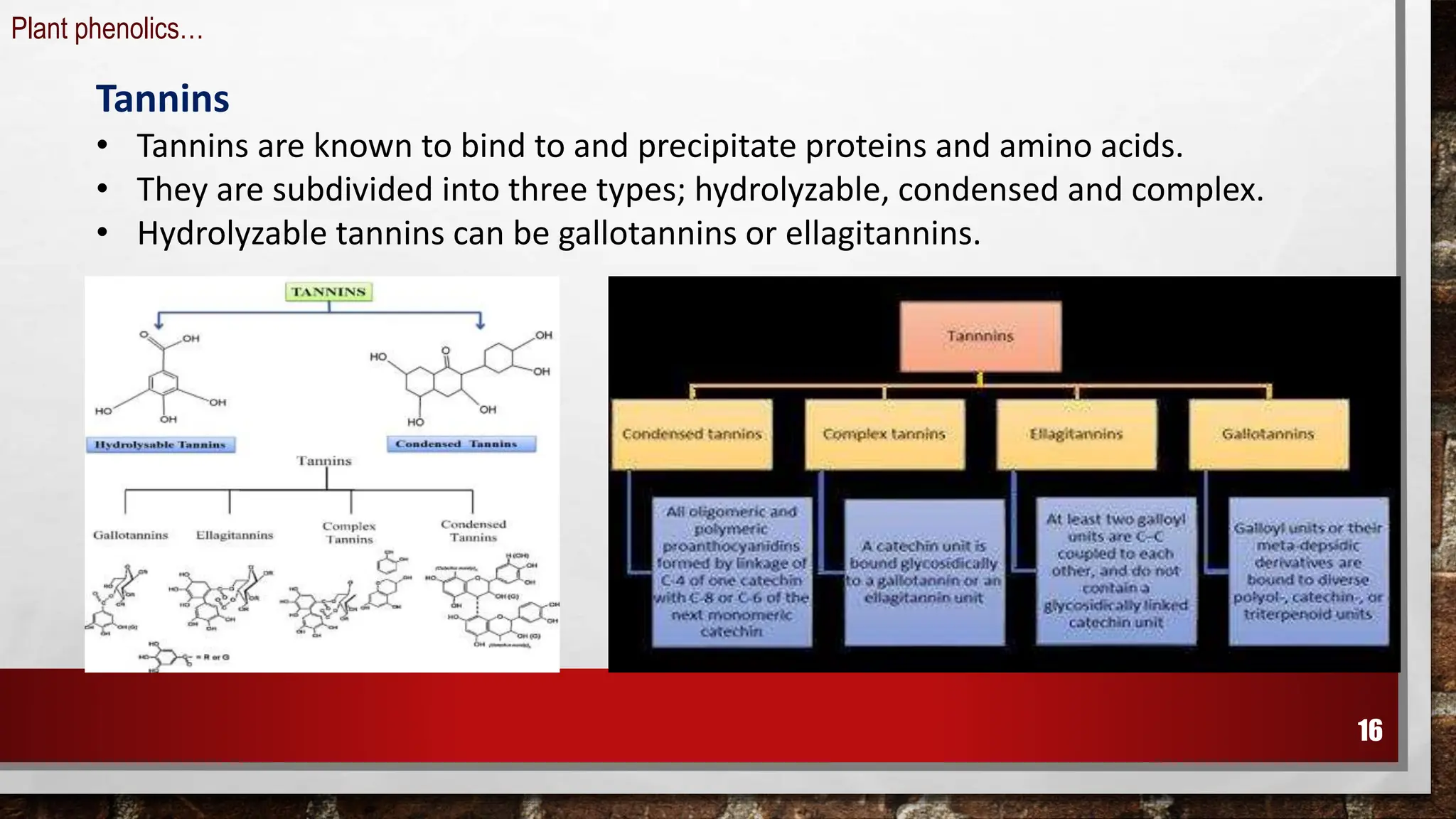 Phenolics: types, biosynthesis and functions. | PPTX