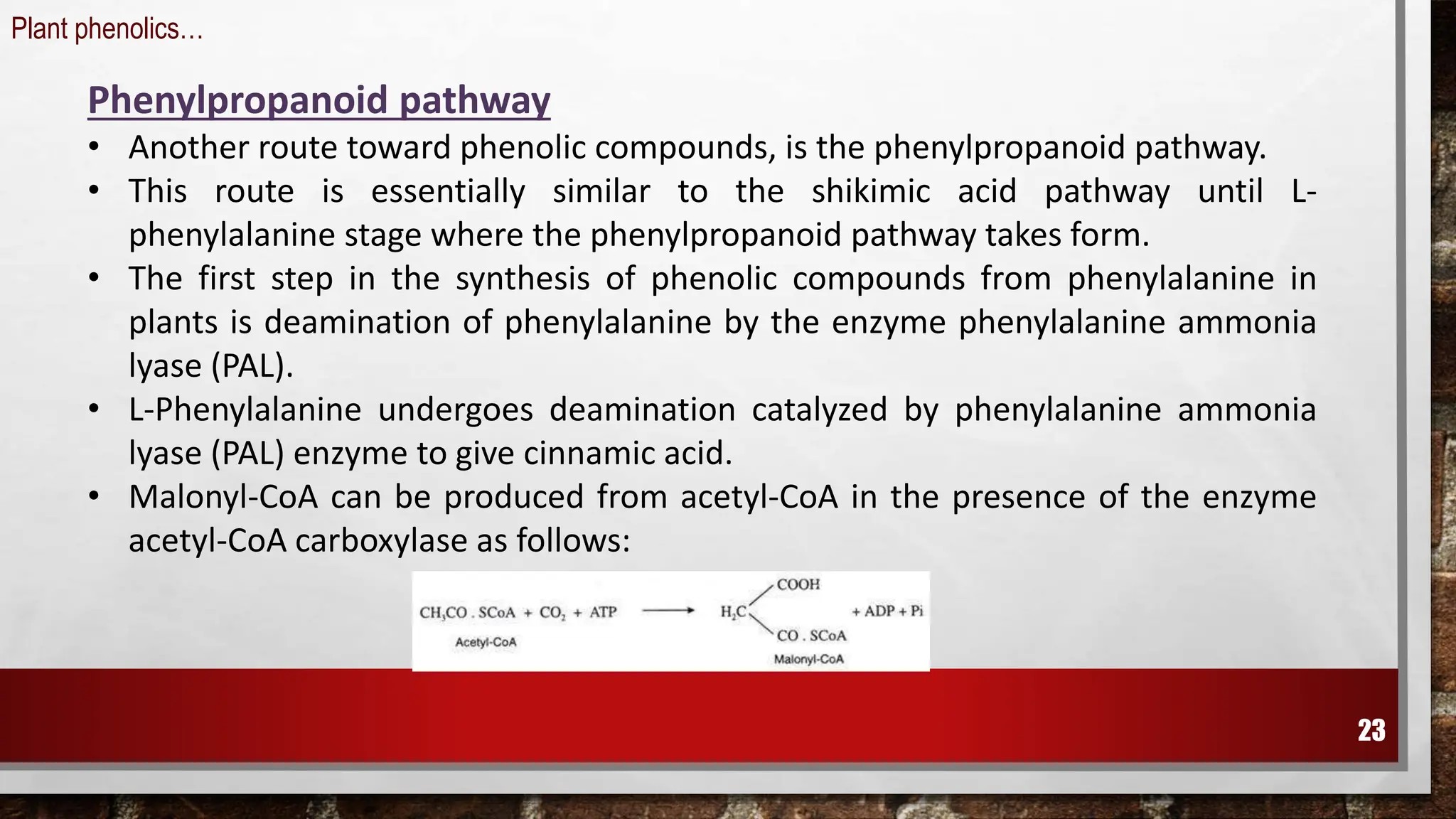 Phenolics: types, biosynthesis and functions. | PPTX