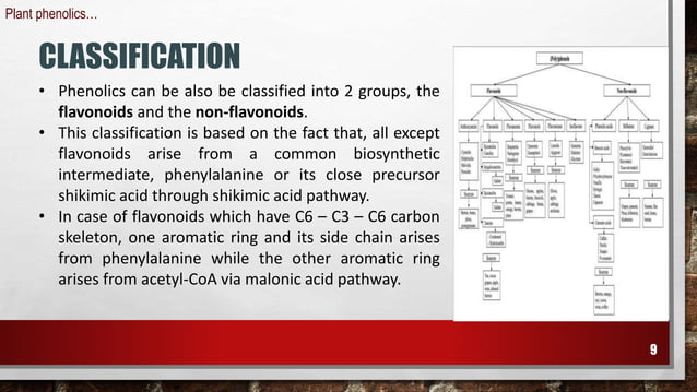 Phenolics: types, biosynthesis and functions. | PPTX | Chemistry | Science