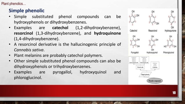 Phenolics: types, biosynthesis and functions. | PPTX | Chemistry | Science