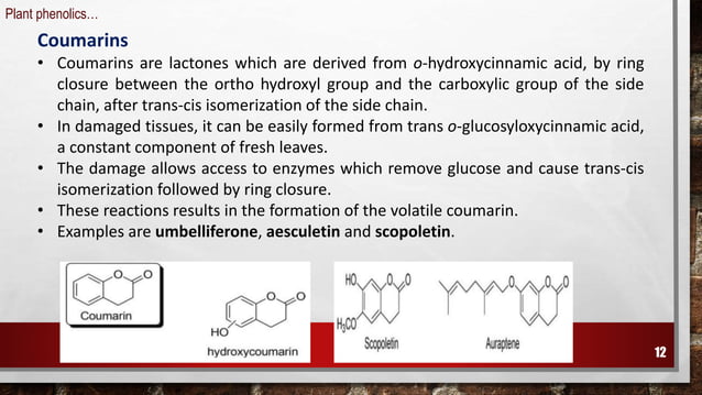 Phenolics: types, biosynthesis and functions. | PPTX | Chemistry | Science