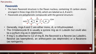 Phenolics: types, biosynthesis and functions. | PPTX