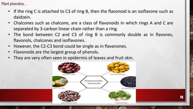 Phenolics: types, biosynthesis and functions. | PPTX | Chemistry | Science