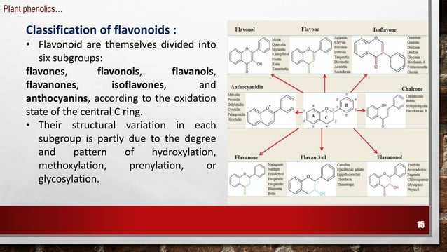 Phenolics: types, biosynthesis and functions. | PPTX | Chemistry | Science