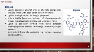 Phenolics: types, biosynthesis and functions. | PPTX