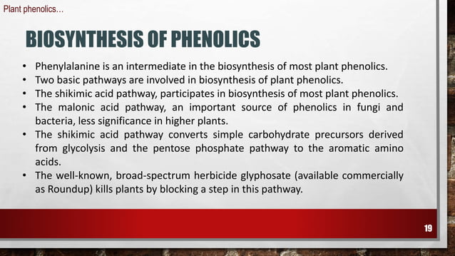Phenolics: types, biosynthesis and functions. | PPTX | Chemistry | Science