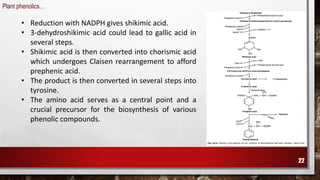 Phenolics: types, biosynthesis and functions. | PPTX