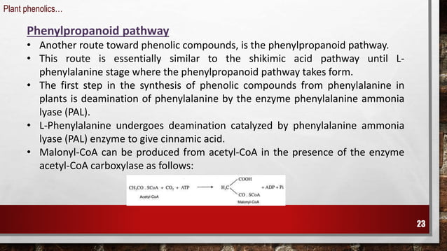 Phenolics: types, biosynthesis and functions. | PPTX | Chemistry | Science