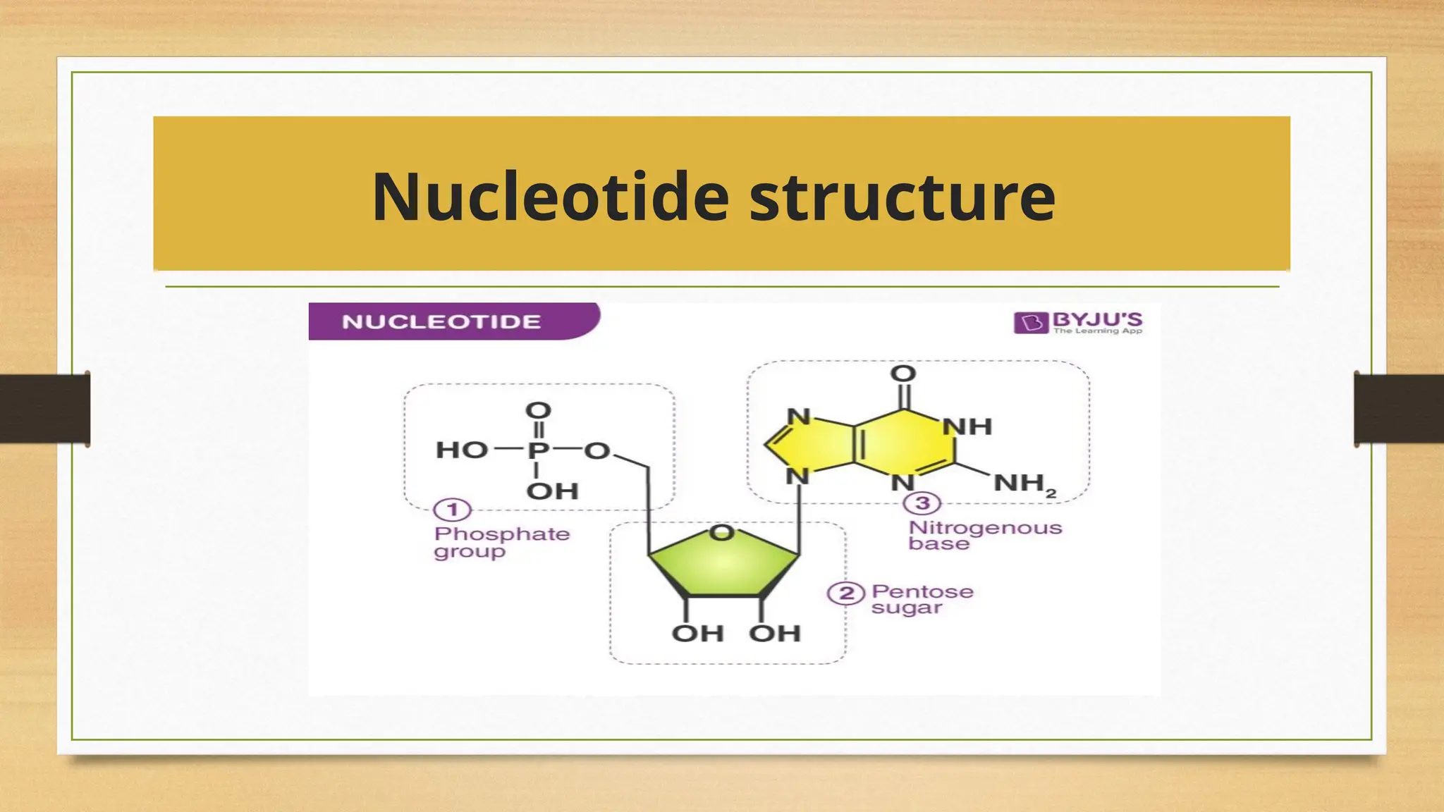 Nucleic Acid by hammad Hussain according biochem.pptx