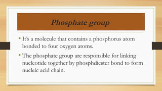 Nucleic Acid by hammad Hussain according biochem.pptx