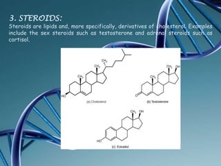 Biochemistry of hormones | PPTX