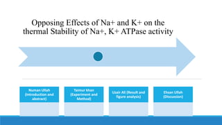 Biochemistry presentation M.Phil Biotechnology | PPTX