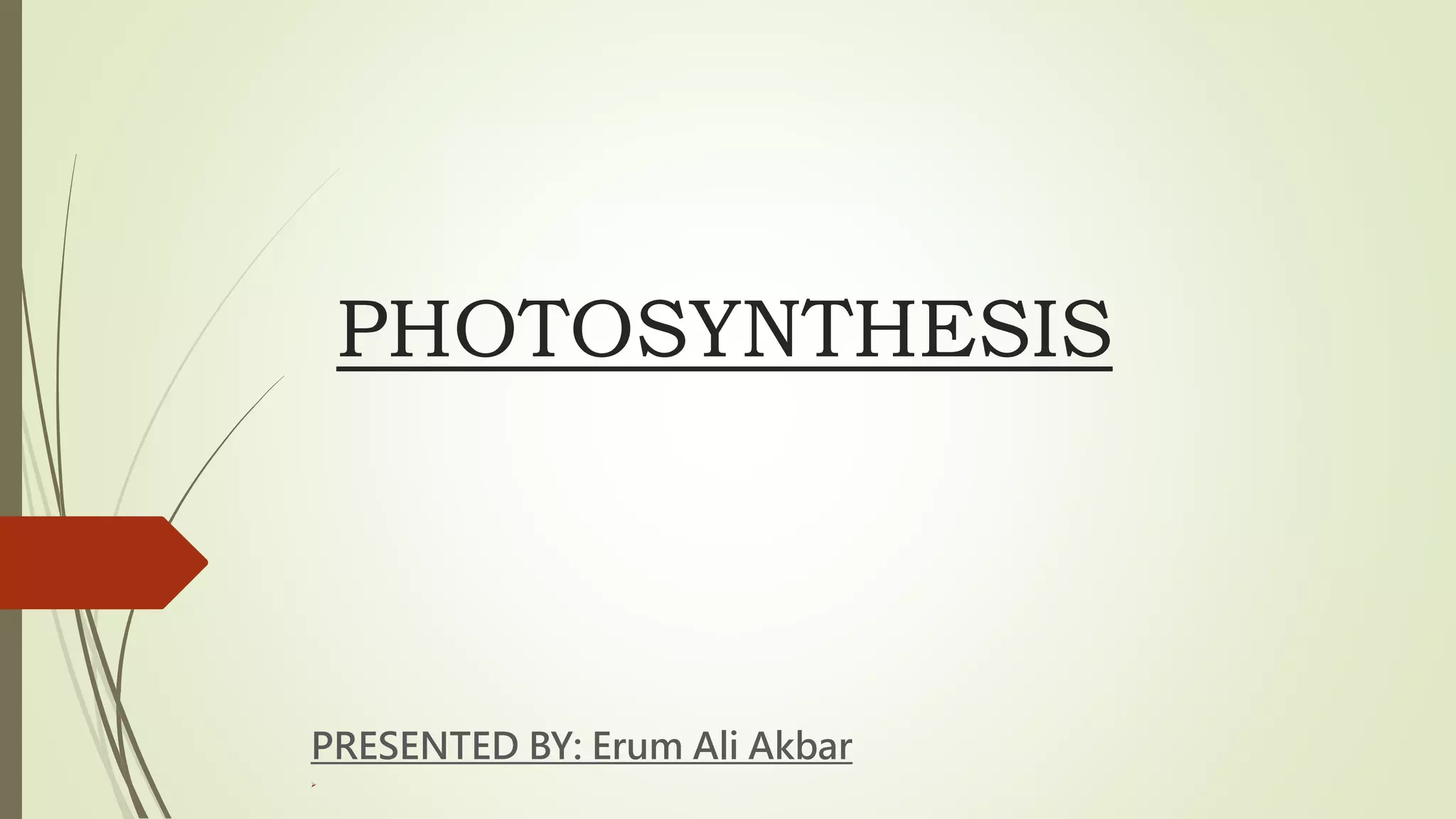 ⭐Biochemistry presentation photosynthesis | PPTX