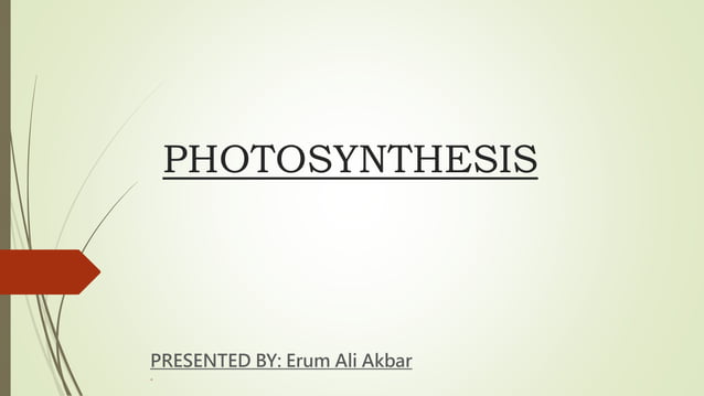 ⭐Biochemistry presentation photosynthesis | PPT