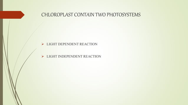 ⭐Biochemistry presentation photosynthesis | PPT