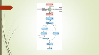 ⭐Biochemistry presentation photosynthesis | PPTX