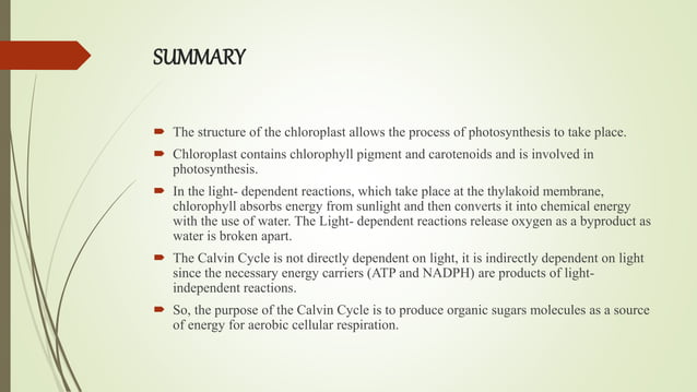 ⭐Biochemistry presentation photosynthesis | PPT