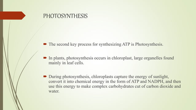 ⭐Biochemistry presentation photosynthesis | PPT