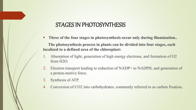⭐Biochemistry presentation photosynthesis | PPT