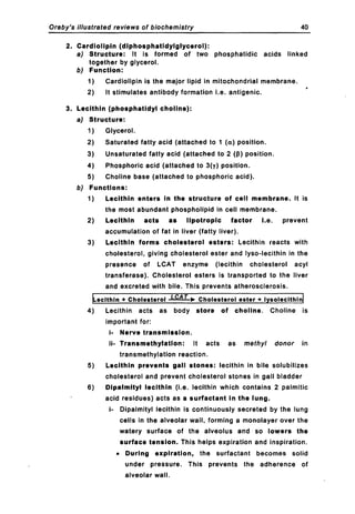 Biochemistry_Saeed_Oraby_Part_1.pdfnkoso | PDF