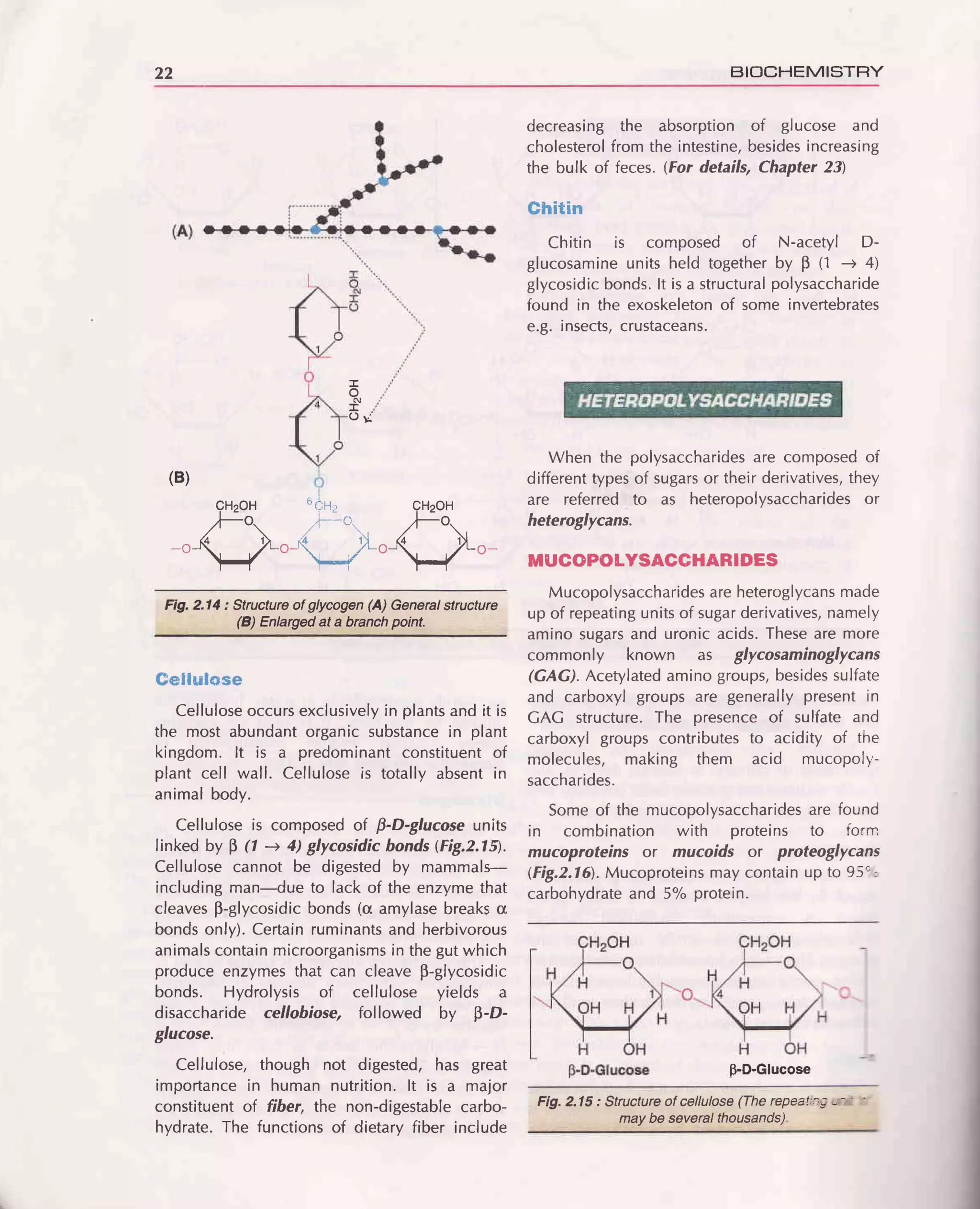 Biochemistry satyanarayana_chakrapani | PDF