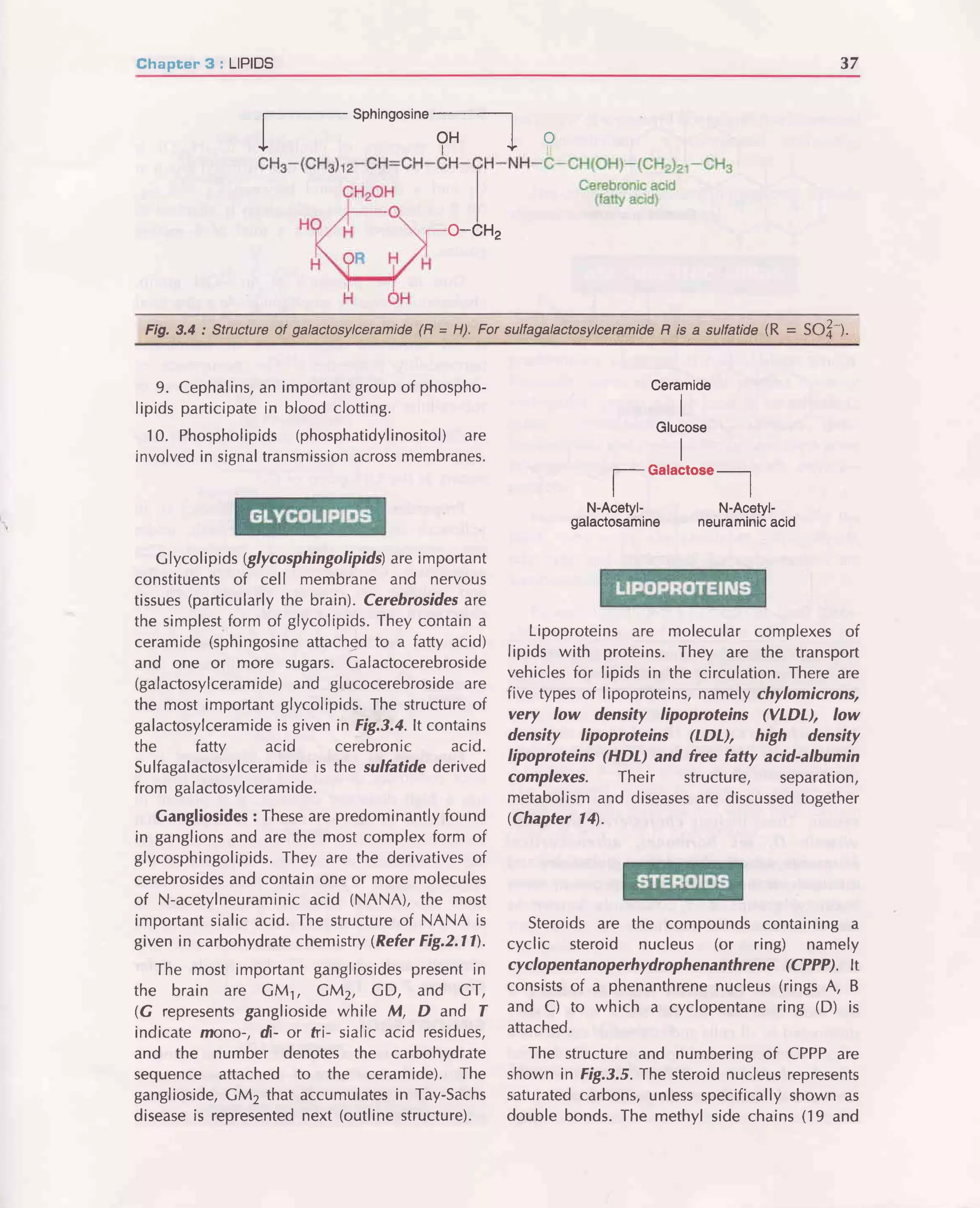 Biochemistry satyanarayana_chakrapani | PDF
