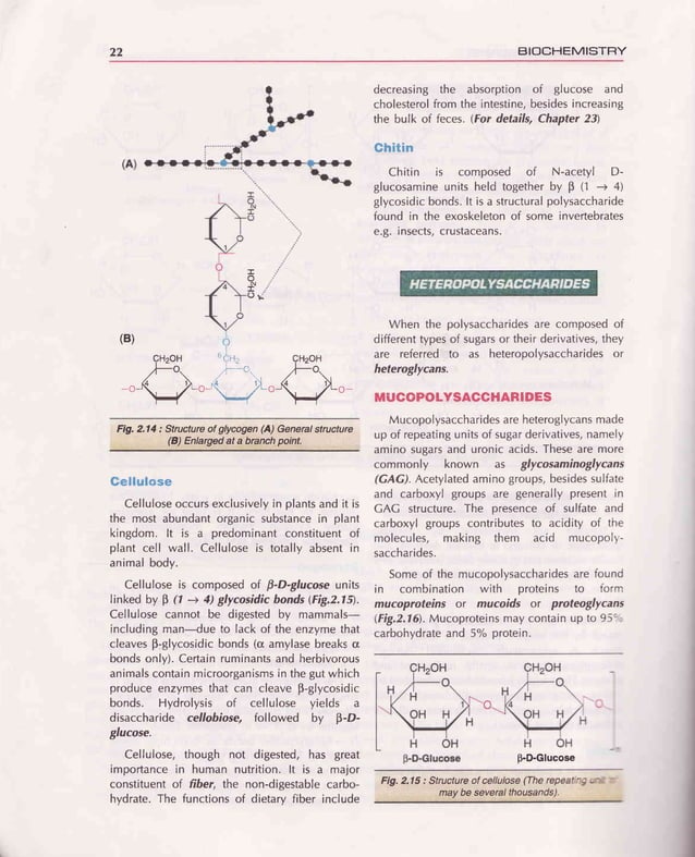 Biochemistry satyanarayana_chakrapani | PDF