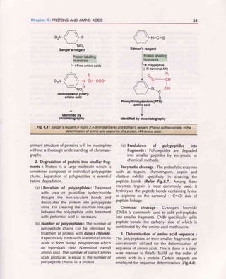 Biochemistry satyanarayana_chakrapani | PDF