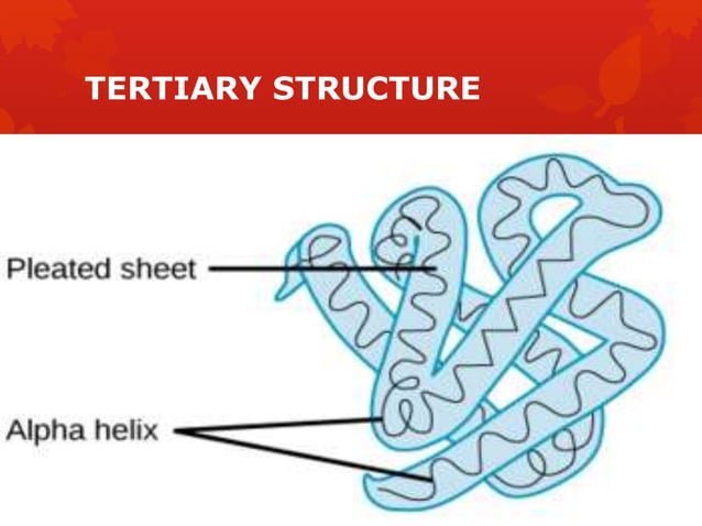Structure Of Protein Pptx