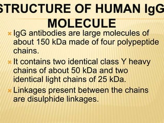 IMMUNOGLOBULINS G- STRUCTURE OF IgG MOLECULE | PPTX