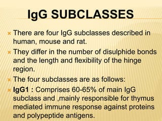 IMMUNOGLOBULINS G- STRUCTURE OF IgG MOLECULE | PPTX
