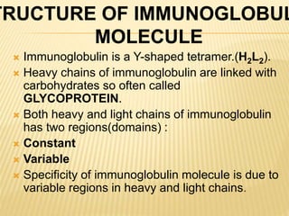 IMMUNOGLOBULINS G- STRUCTURE OF IgG MOLECULE | PPTX