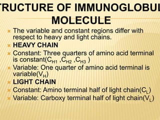 IMMUNOGLOBULINS G- STRUCTURE OF IgG MOLECULE | PPTX