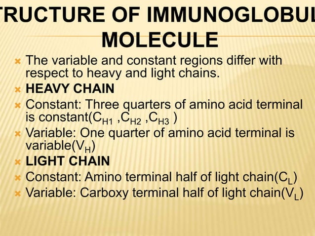 IMMUNOGLOBULINS G- STRUCTURE OF IgG MOLECULE | PPT