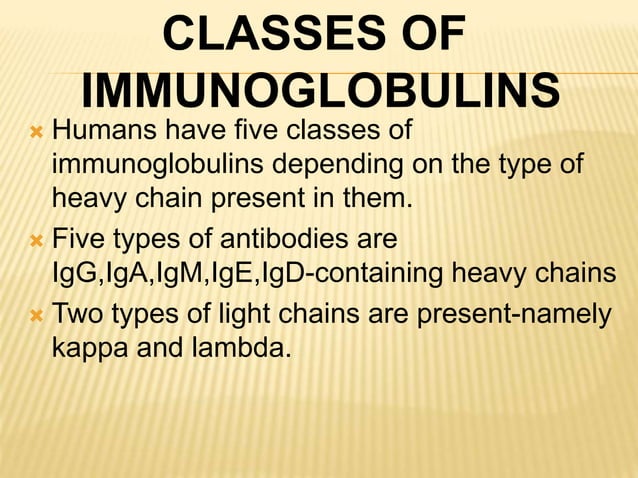 IMMUNOGLOBULINS G- STRUCTURE OF IgG MOLECULE | PPT
